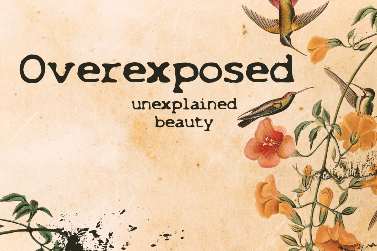 Overexposed, a Font by Cool Fonts