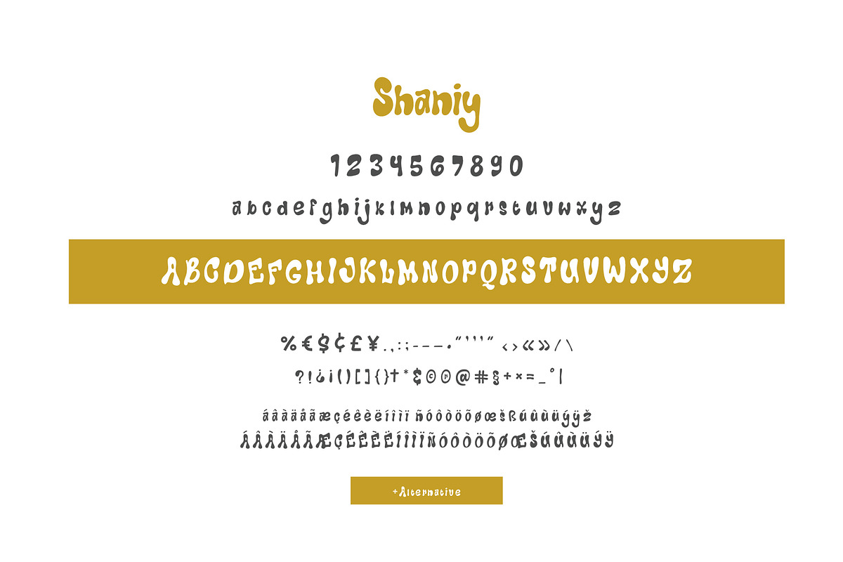 Shaniy Font