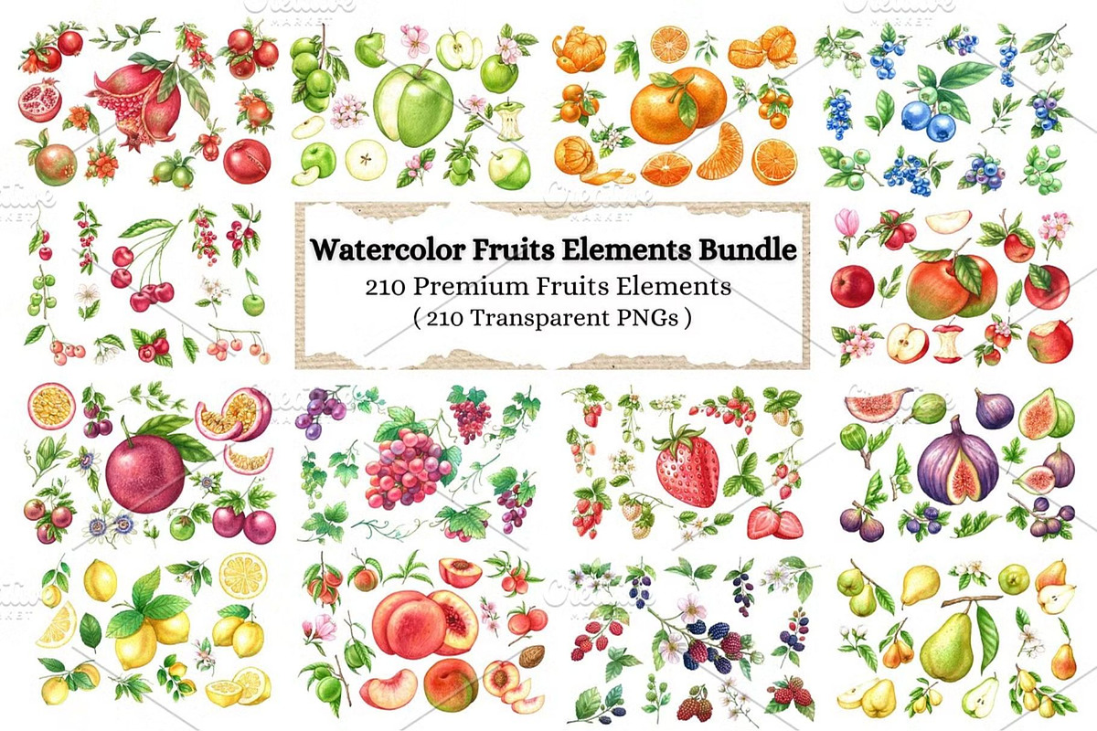 Watercolor Fruits Elements Bundle, a Food Illustration by Stellalunarts