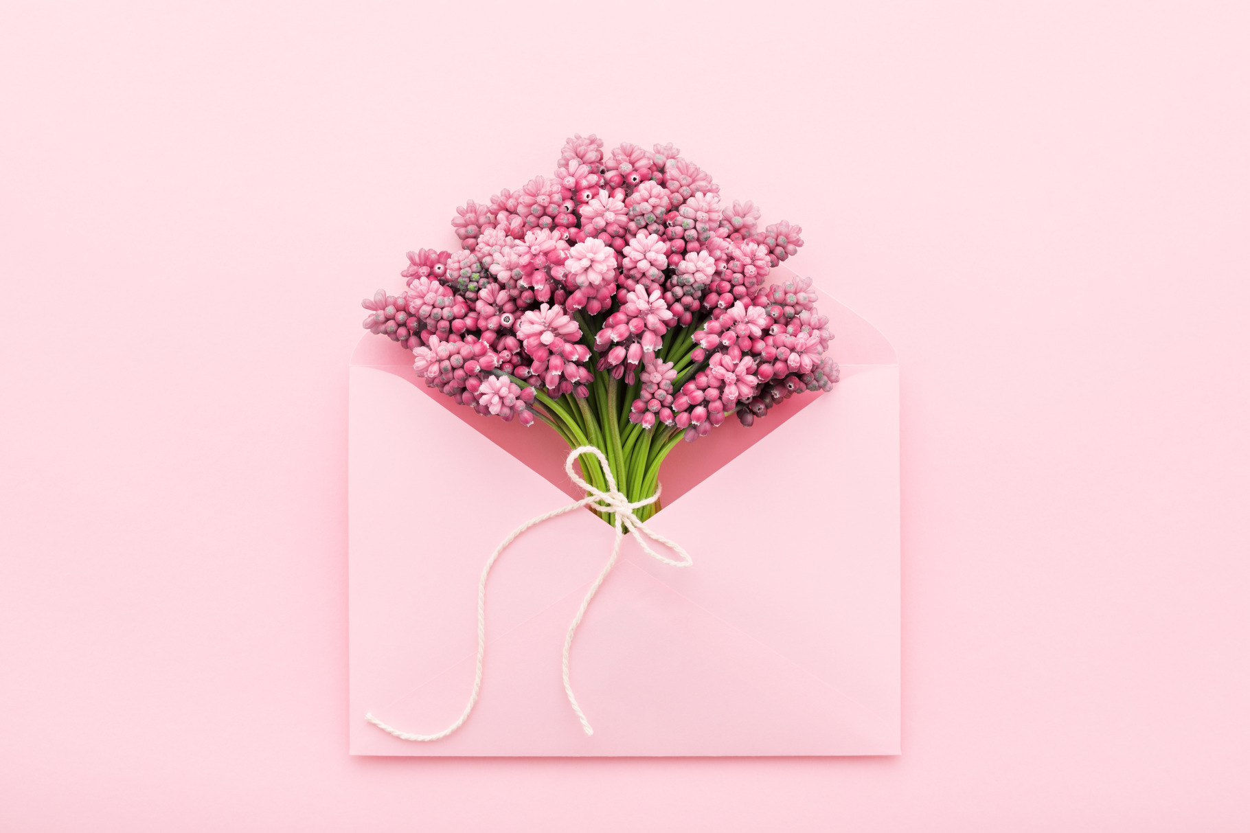 Spring flowers in a pink envelope | Holiday Stock Photos ~ Creative Market