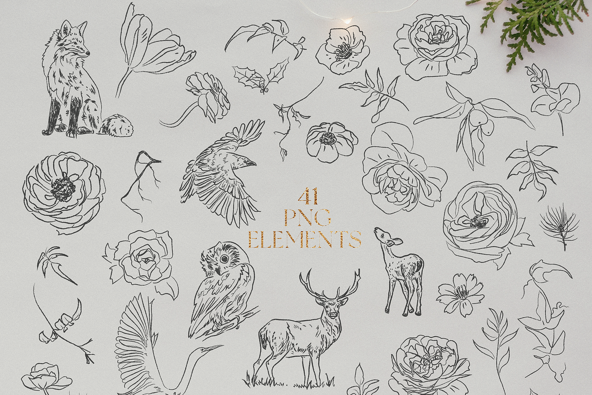 Line art winter plants and animals, an Animal Illustration by Pamyatka Shop