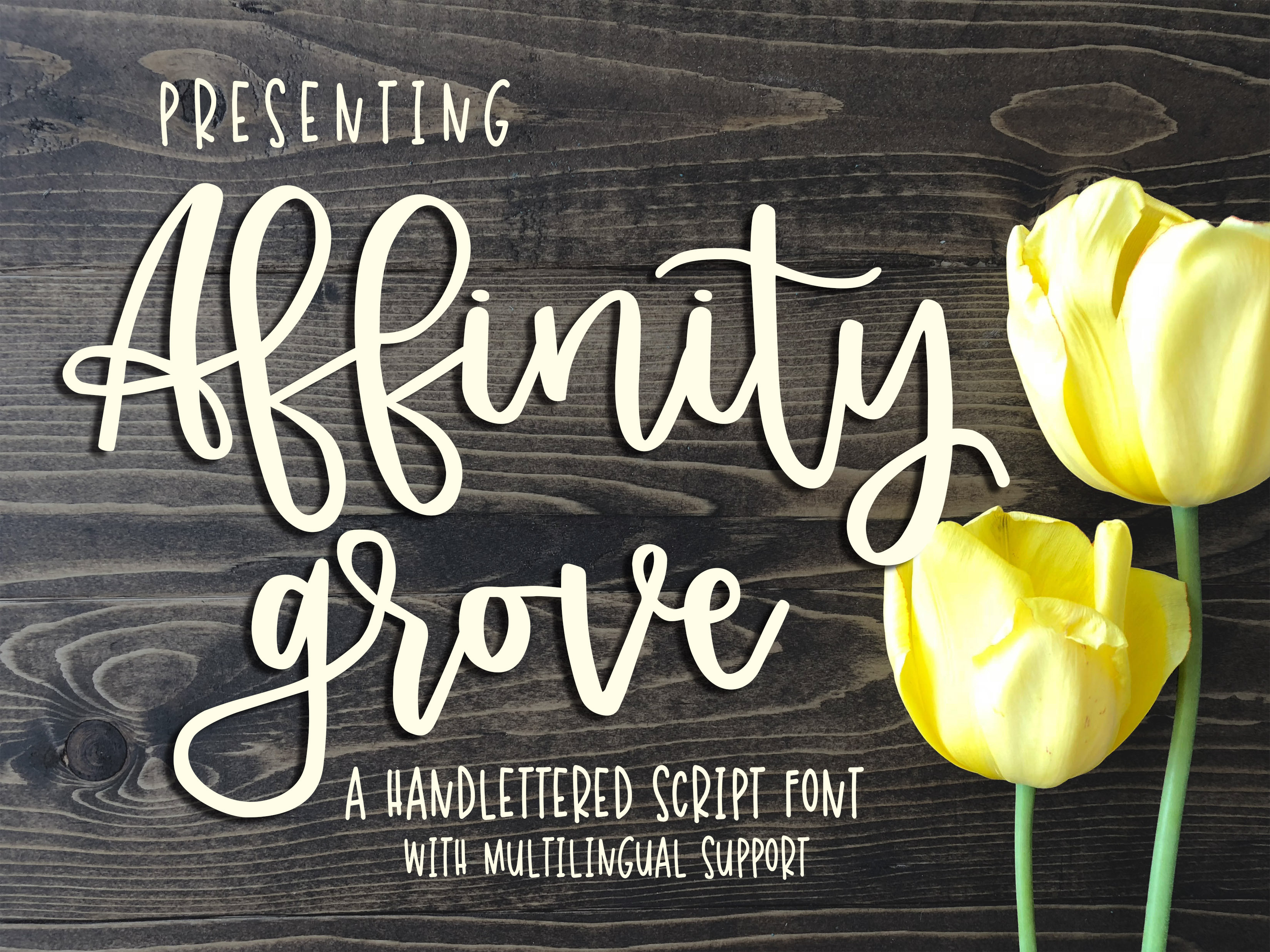 Affinity Grove Script, a Script Font by Affinity Grove