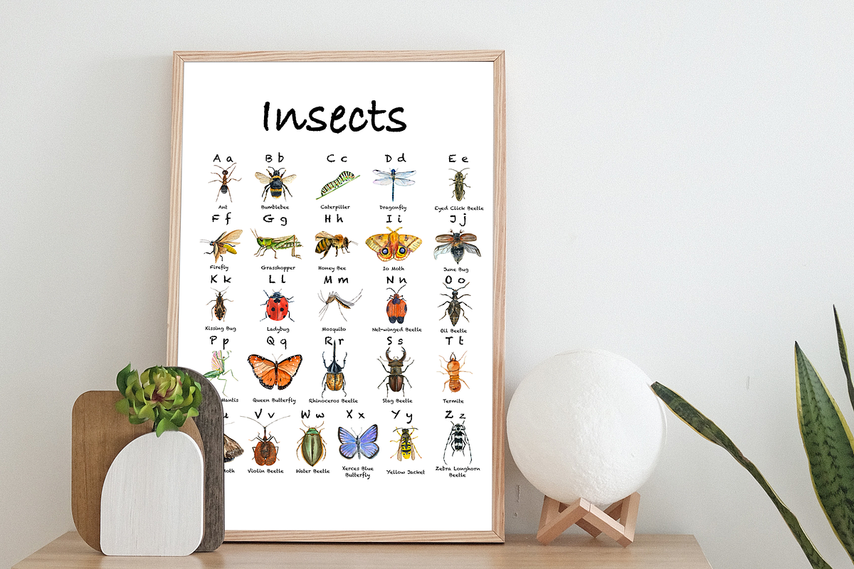 Watercolor Insects ABC Posters, an Education Illustration by Tati Bordiu