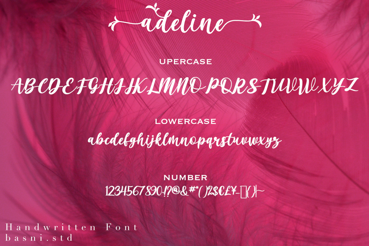 Adeline a Handwritten Font, a Script Font by Basnistudio | Creative Market