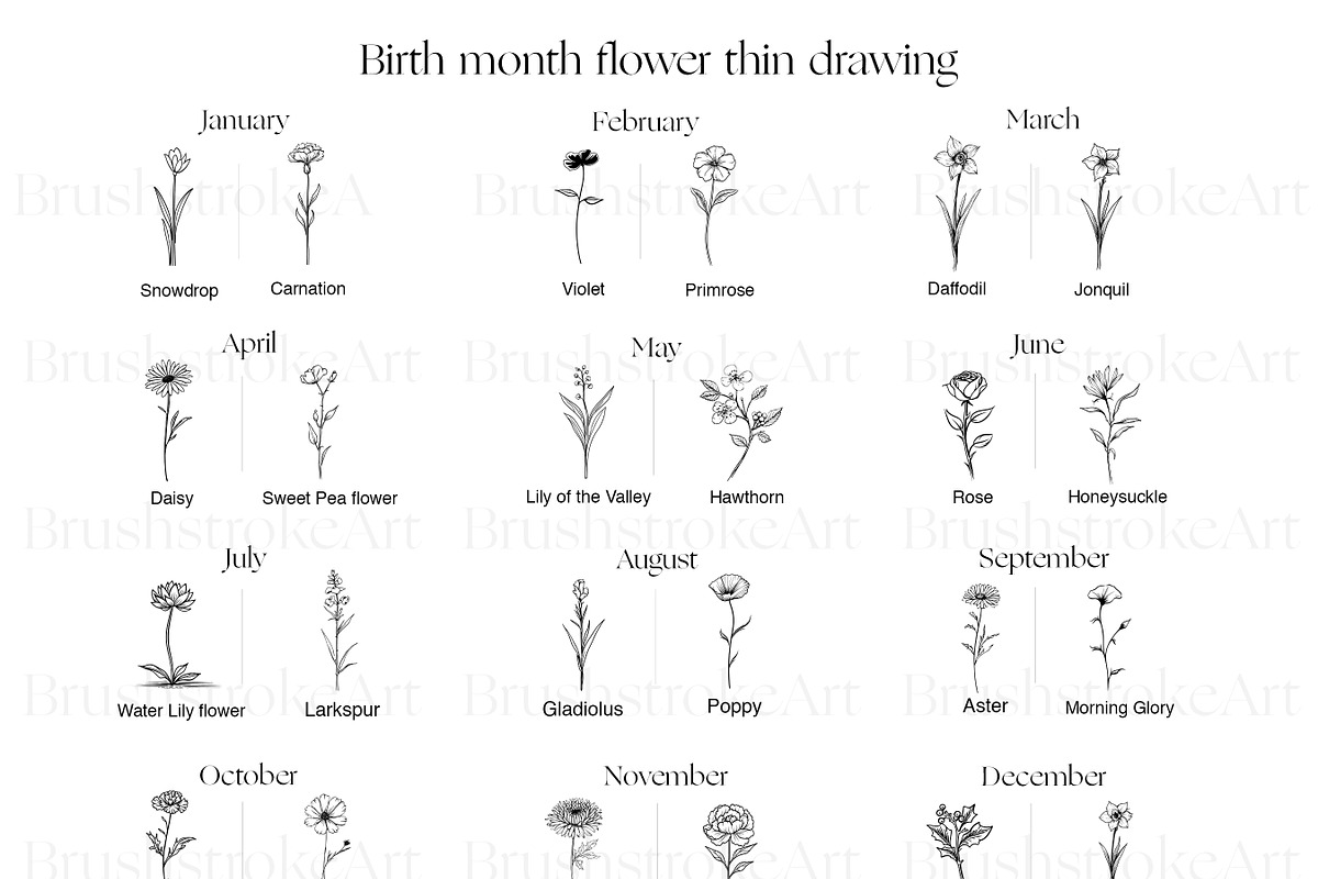 Birth Month Flowers Illustration