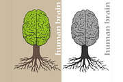 tree formed in cortex of the brain | Graphics ~ Creative Market