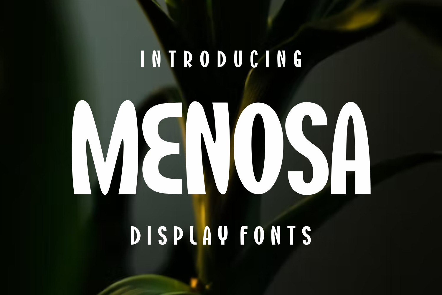 Menosa, a Sans Serif Font by lelevien