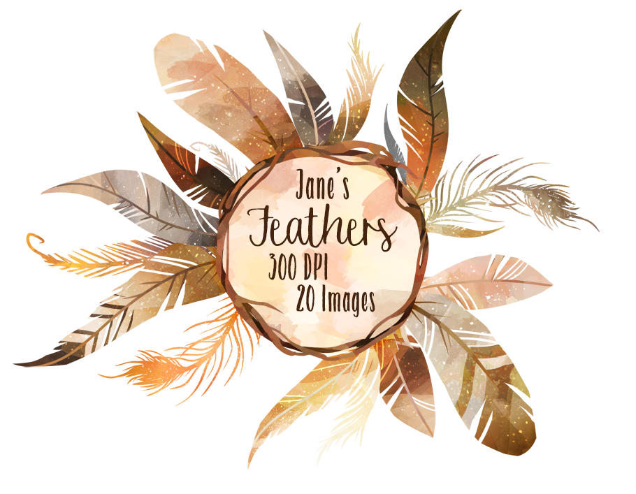 Brown Feathers Clipart, an Illustration by DigitalArtsi