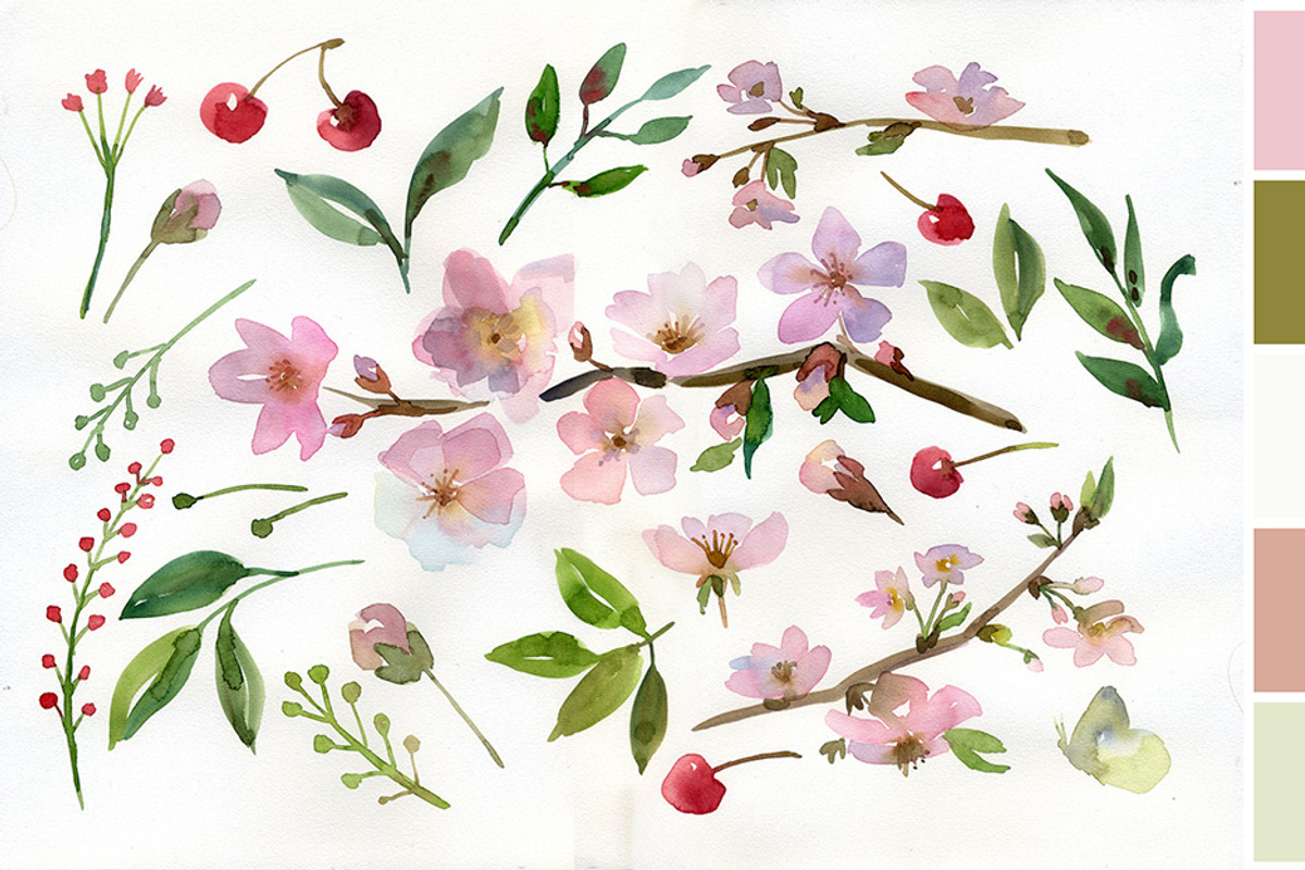 Watercolor cherry blossom clipart, an Illustration by WonderWonder