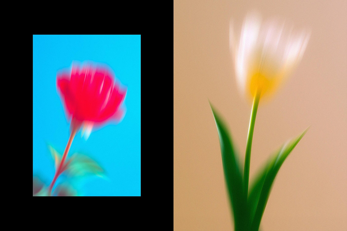 Dream Haze Flower Posters Collection, a Texture Graphic by Design Squad