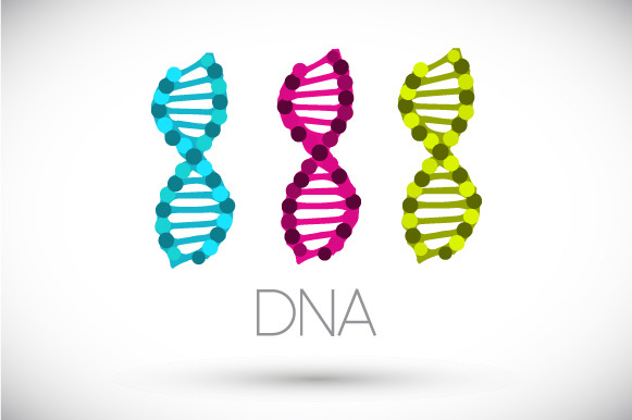 DNA figures, a Branding & Logo Template by A.Lila