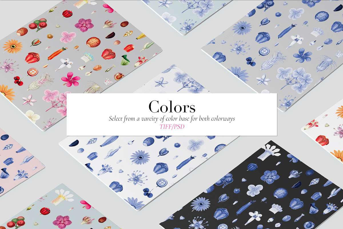 POLYCOT Exquisite collectibles!, a Pattern Graphic by TSTUDIO