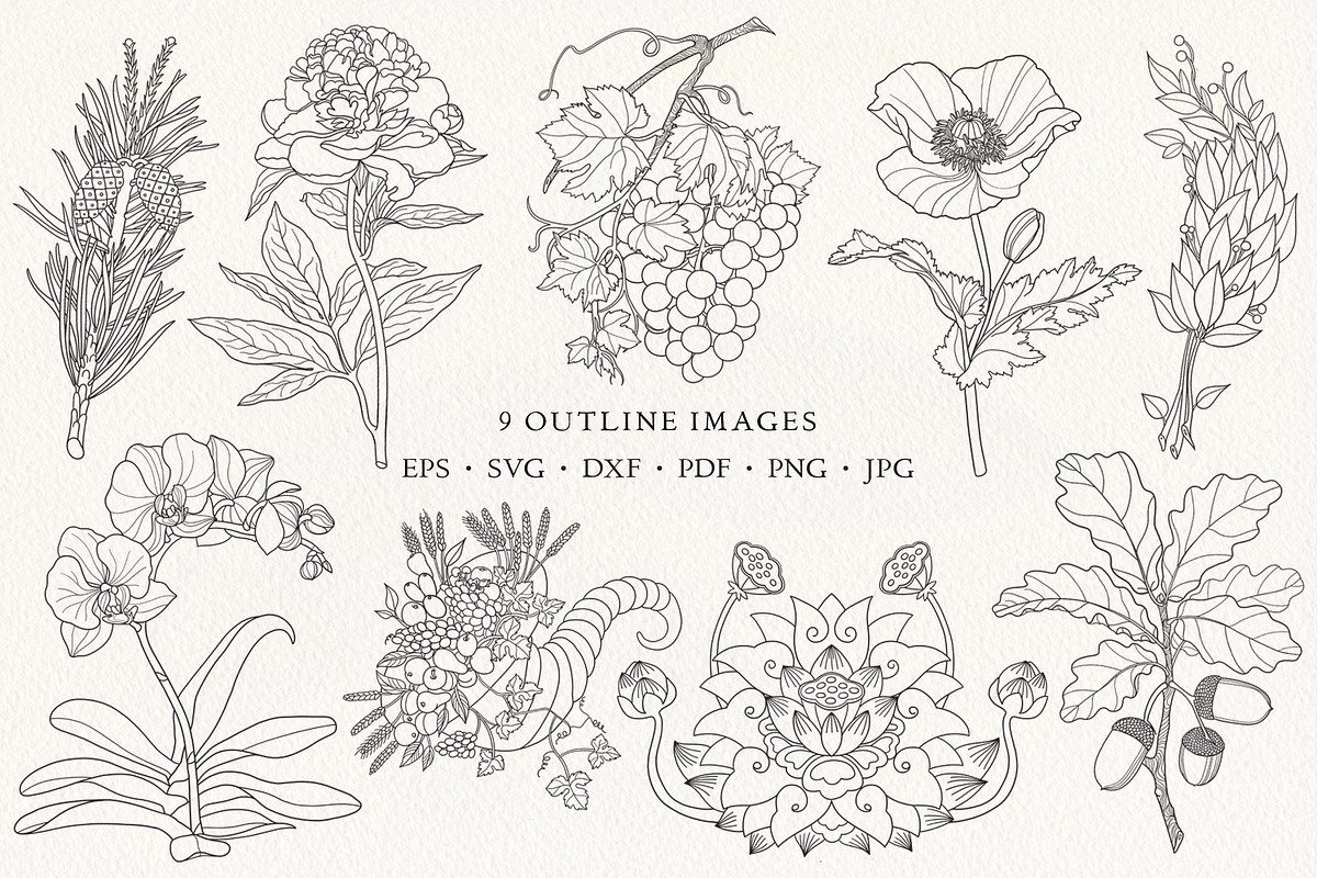 Line & Stencil Illustration Bundle, a Decorative Illustration by Olga ...