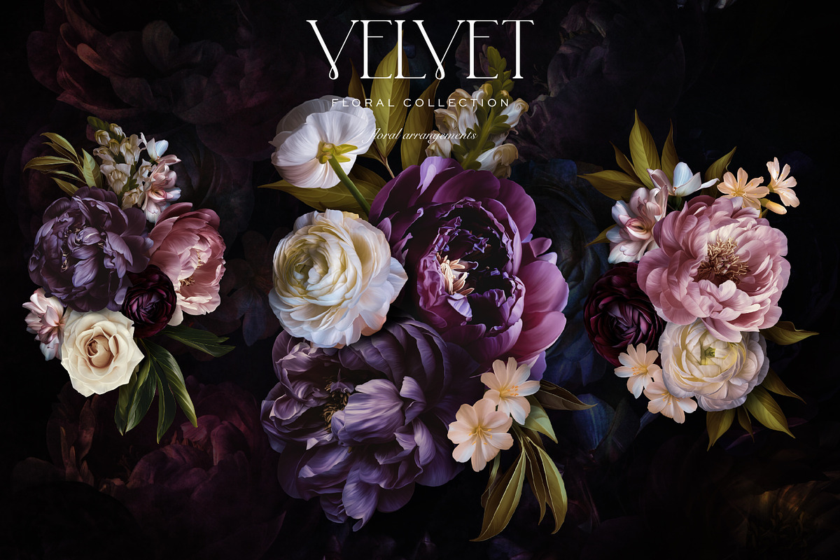 Velvet Peony Moody Floral Graphics, an Object Illustration by Eclectic ...