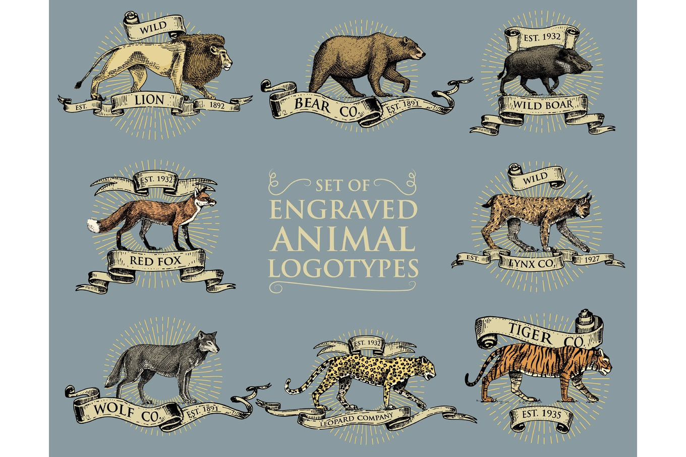 big set of vintage emblems, logos or badges with wild animals tiger ...