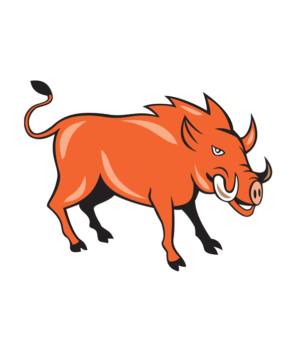 Razorback Head Charge Cartoon, an Animal Illustration by patrimonio ...