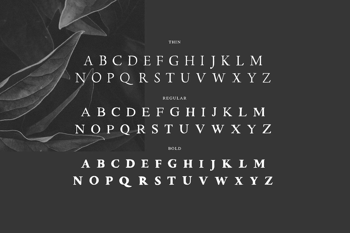 Walker: a Handlettered Serif, a Serif Font by Margot + Co