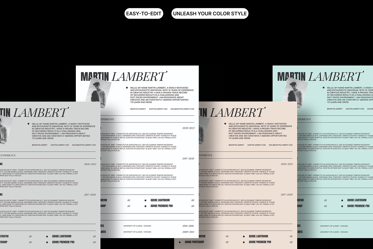 Best Resume Template KIT
