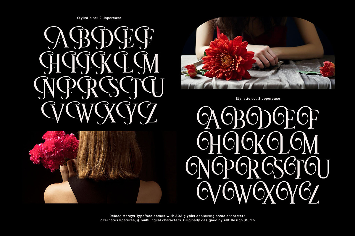 Deloca Moreys Typeface, a Serif Font by alit design