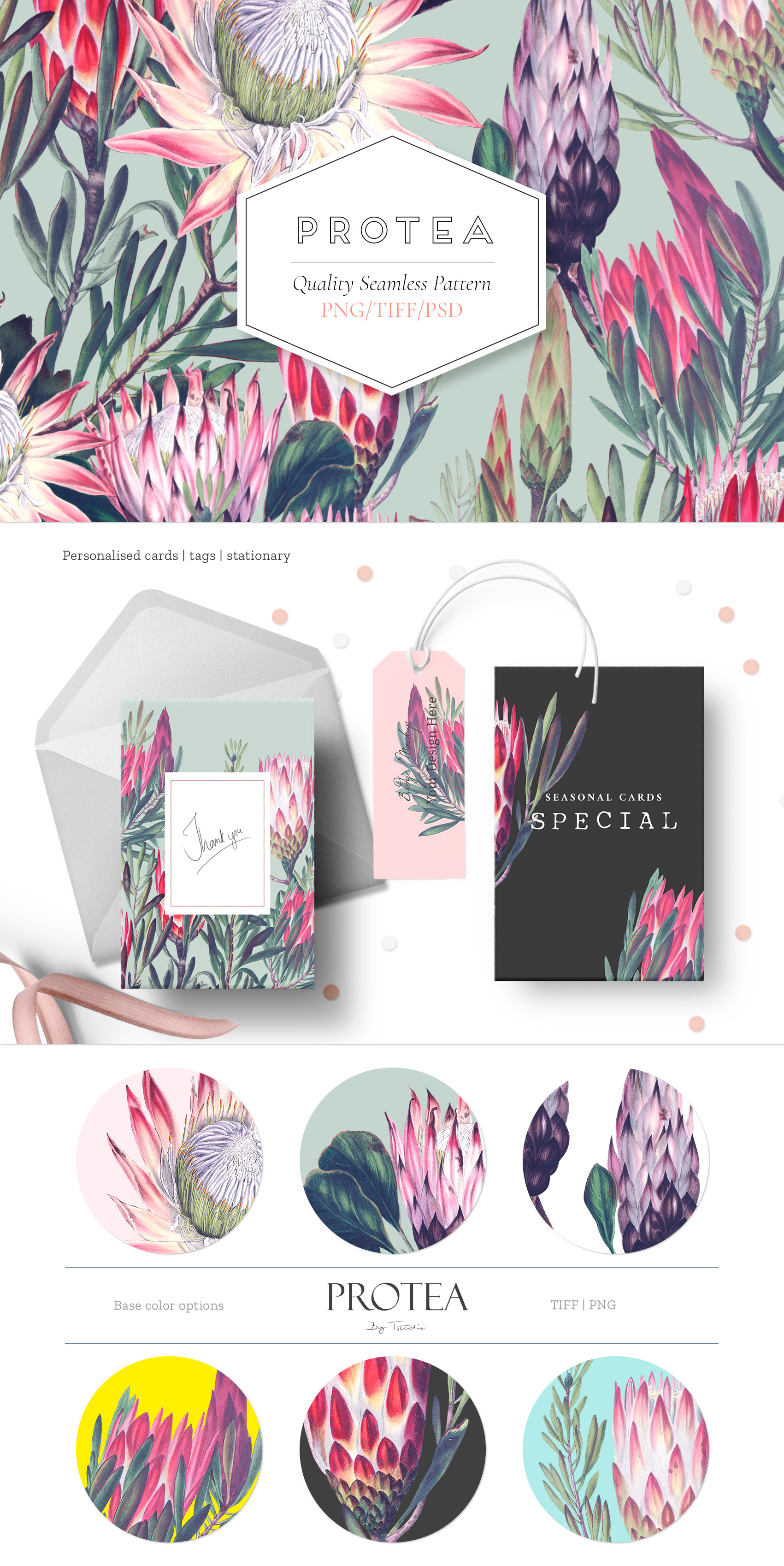 Protea, Patterns and Motifs Set, a Pattern Graphic by TSTUDIO