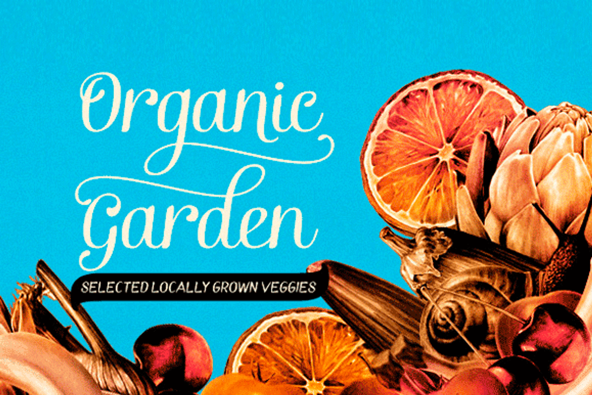 Mishka, a Script Font by Fenotype