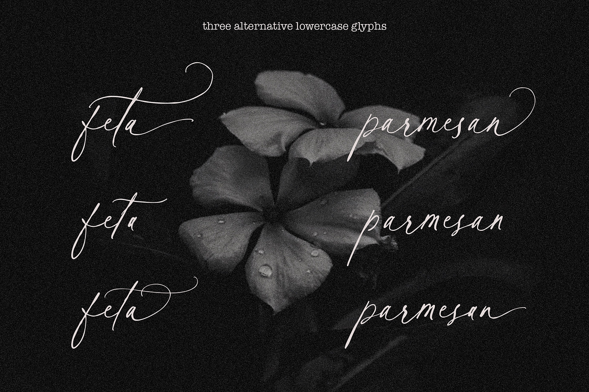 The Enchanted Garden // Calligraphy, a Handwritten Font by PeachCreme
