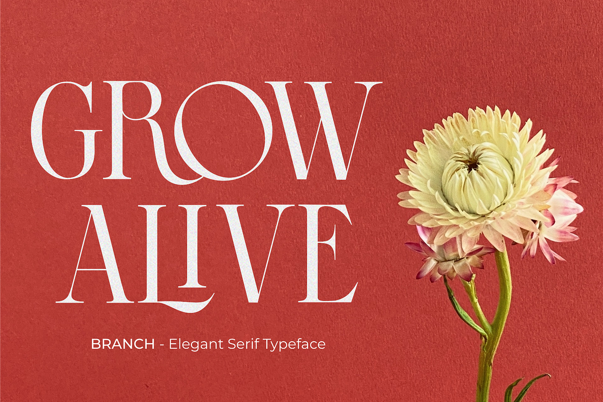 BRANCH - Elegant Serif Typeface