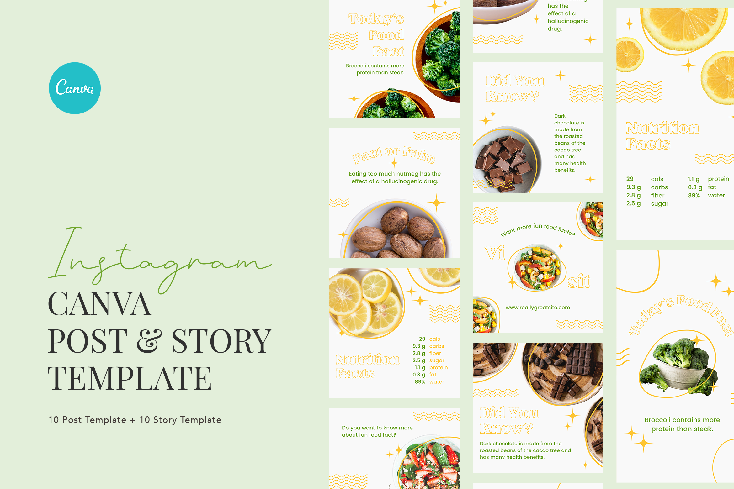 Elegant Food Nutrition Facts Canva