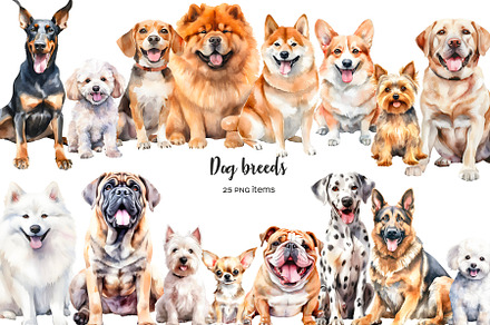 Dog Clipart Bundle - Popular Breeds | Creative Market