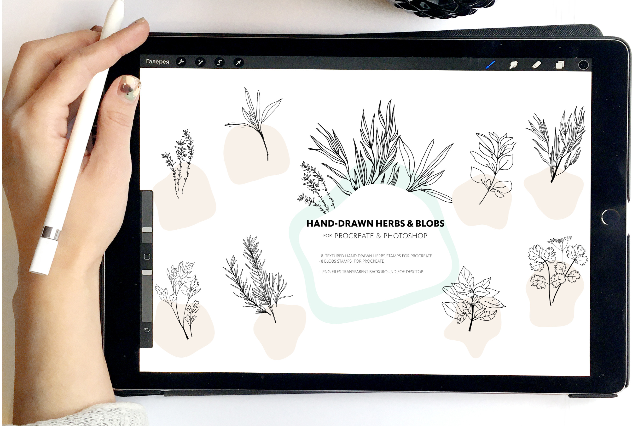 SET of 8 HERBS PROCREATE STAMP