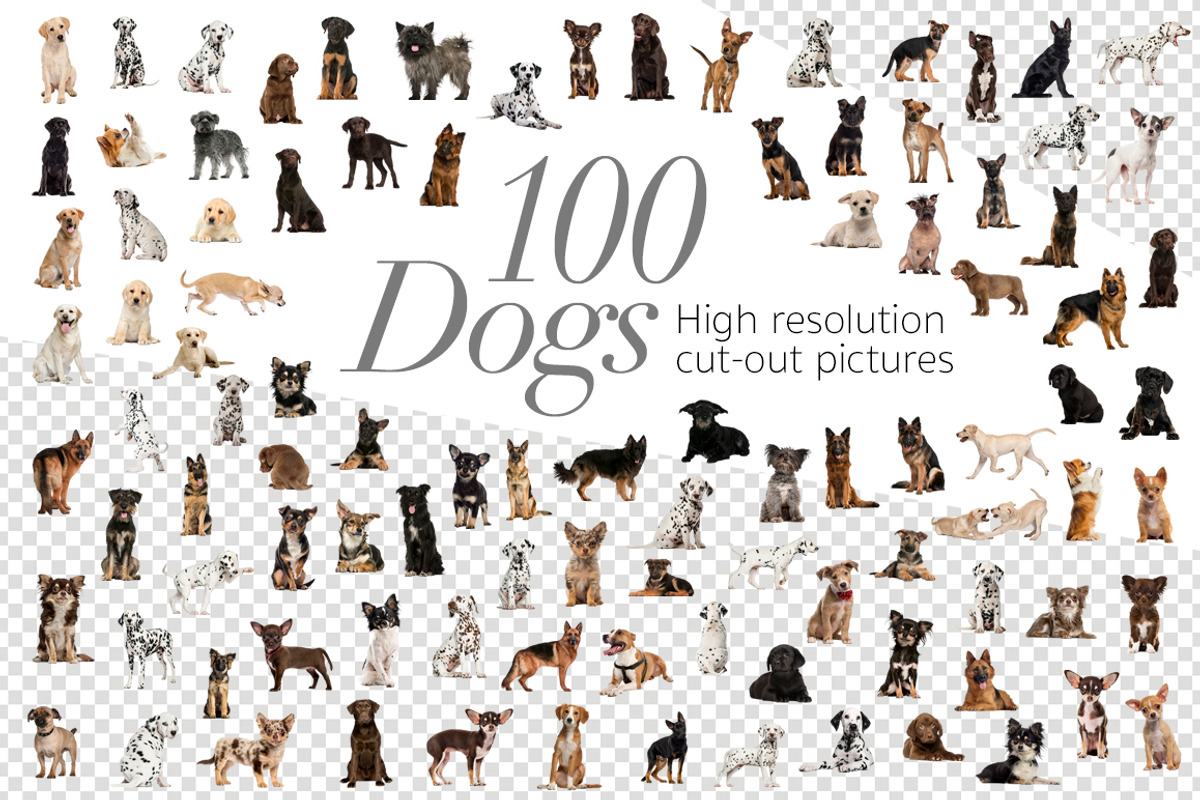 100 Dogs Bundle - Cut-out Pictures, an Object Graphic by Life on White