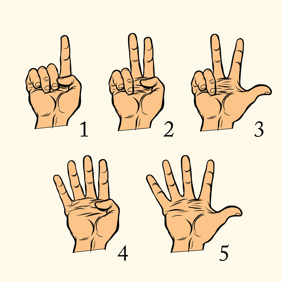 hand gestures count 1 2 3 4 and 5 | People Illustrations ~ Creative Market