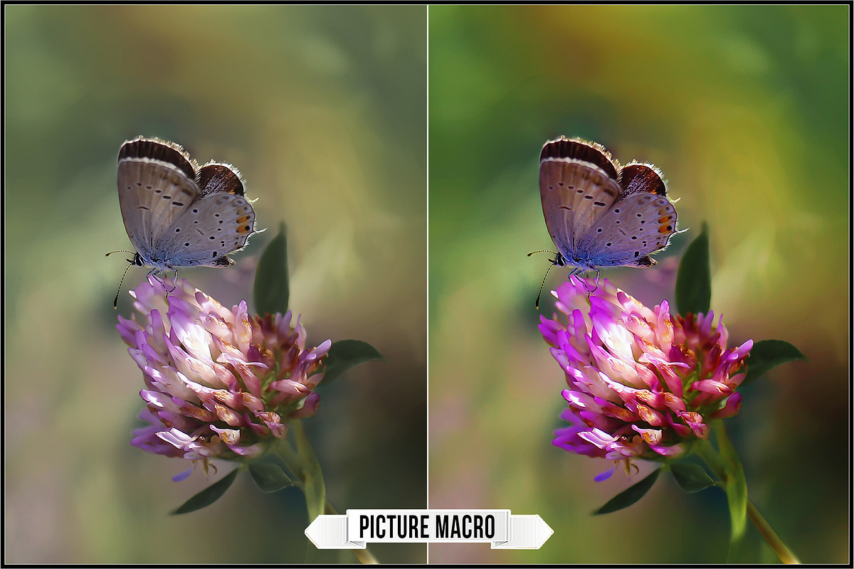 Pentax Custom Images profiles, a Plug-in Add-On by Raztrend