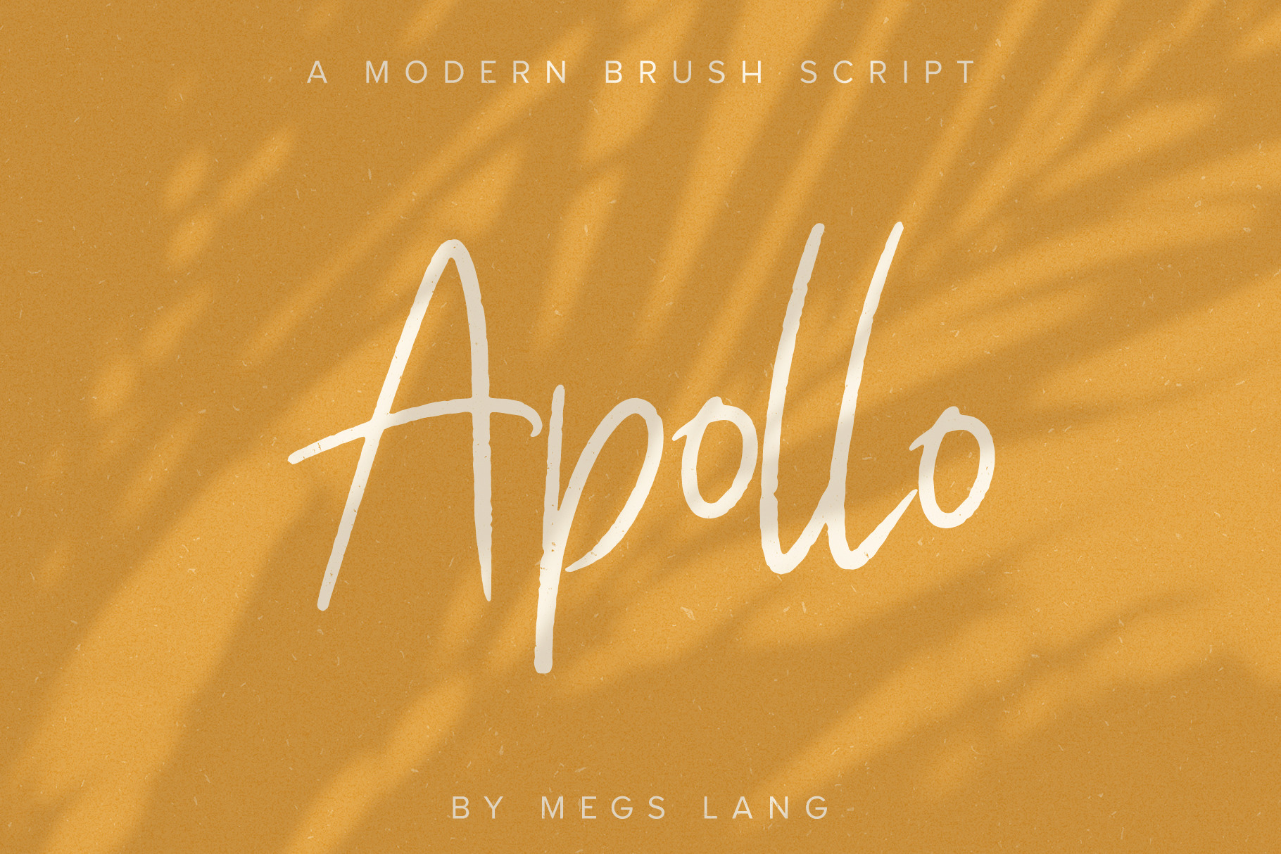 Apollo // A Modern Brush Script Font, a Script Font by Megs Lang