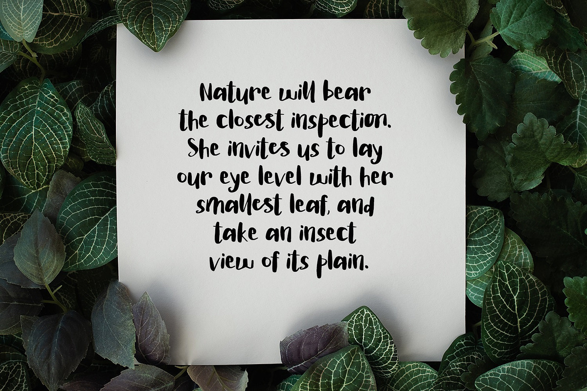 Hello Vibes - The Handbrushed Font, a Font by Graphicfresh | Creative ...