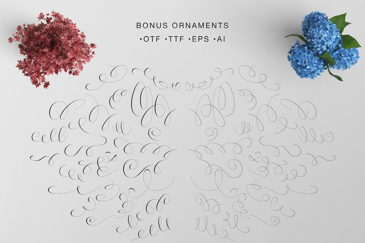 Marthina Script - Two Style, a Script Font by ianmikraz