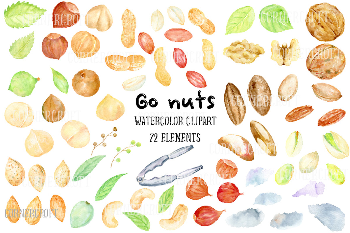 Watercolor Clipart Go Nuts, a Food Illustration by Corner Croft ...