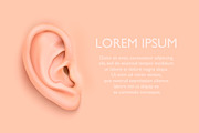 Human ear. Vector set. | Healthcare Illustrations ~ Creative Market