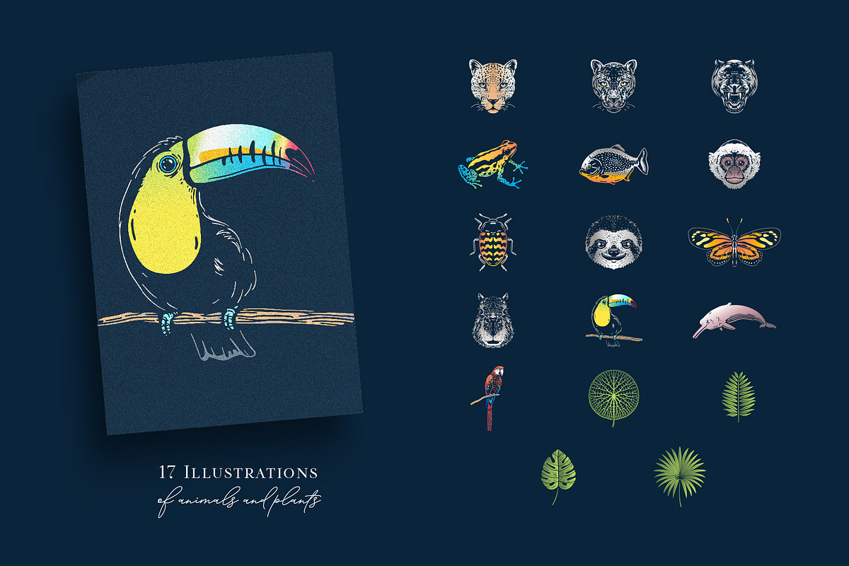 Amazon Rainforest Vector Illustrations