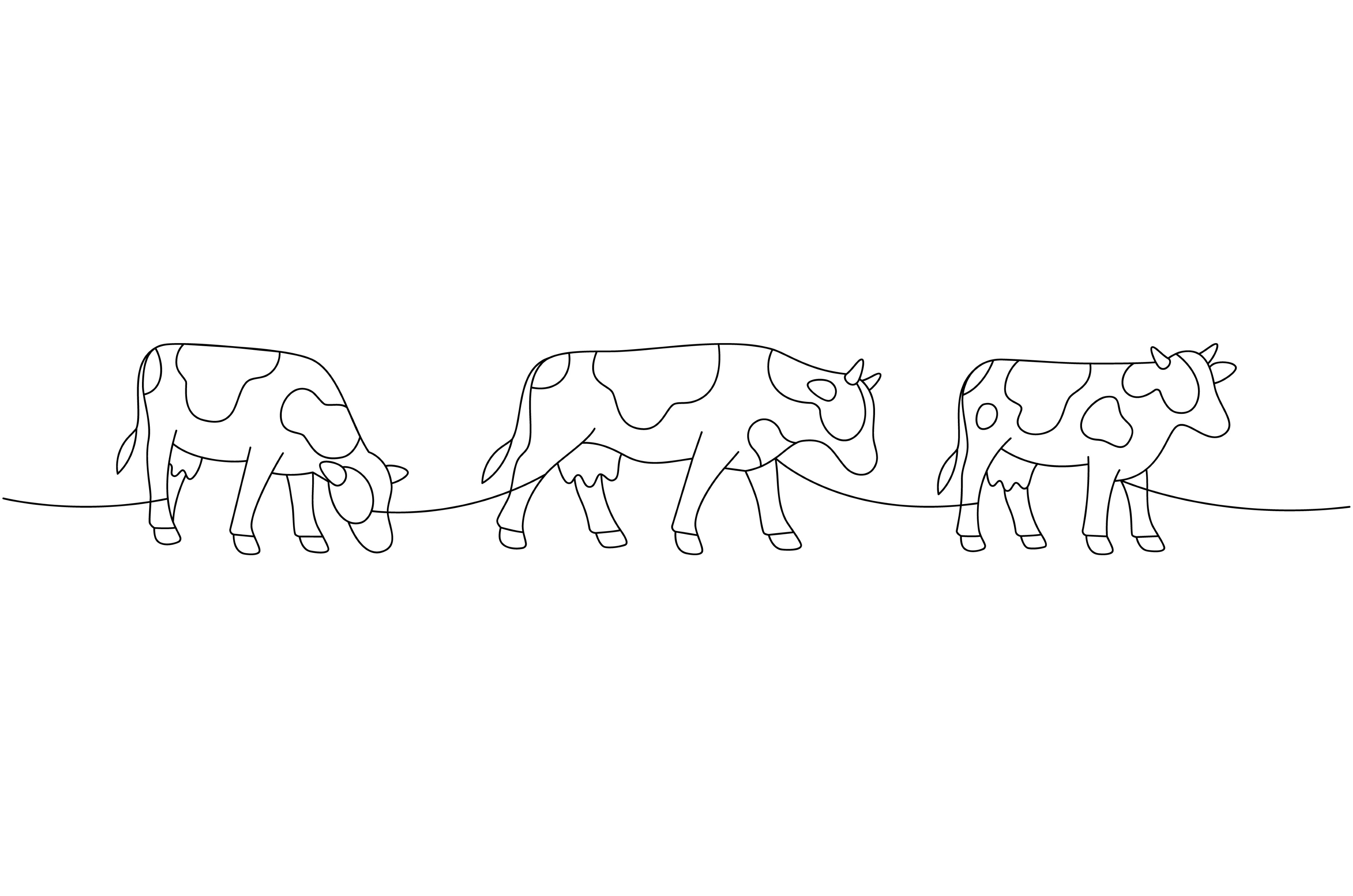 Cows in different poses. Elegant, an Animal Illustration by GraphiShop