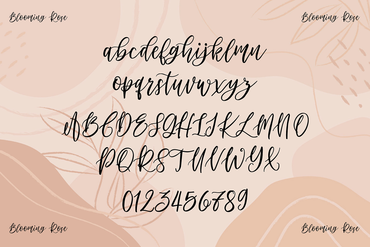 Blooming Rose A Bouncy Script Font