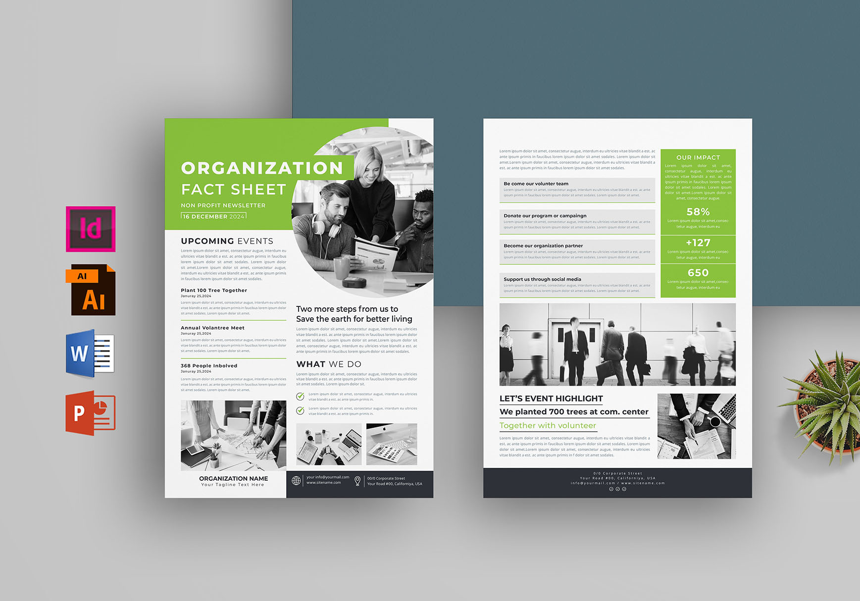 Nonprofit Organization Fact Sheet, a Flyer Template by obayes ...