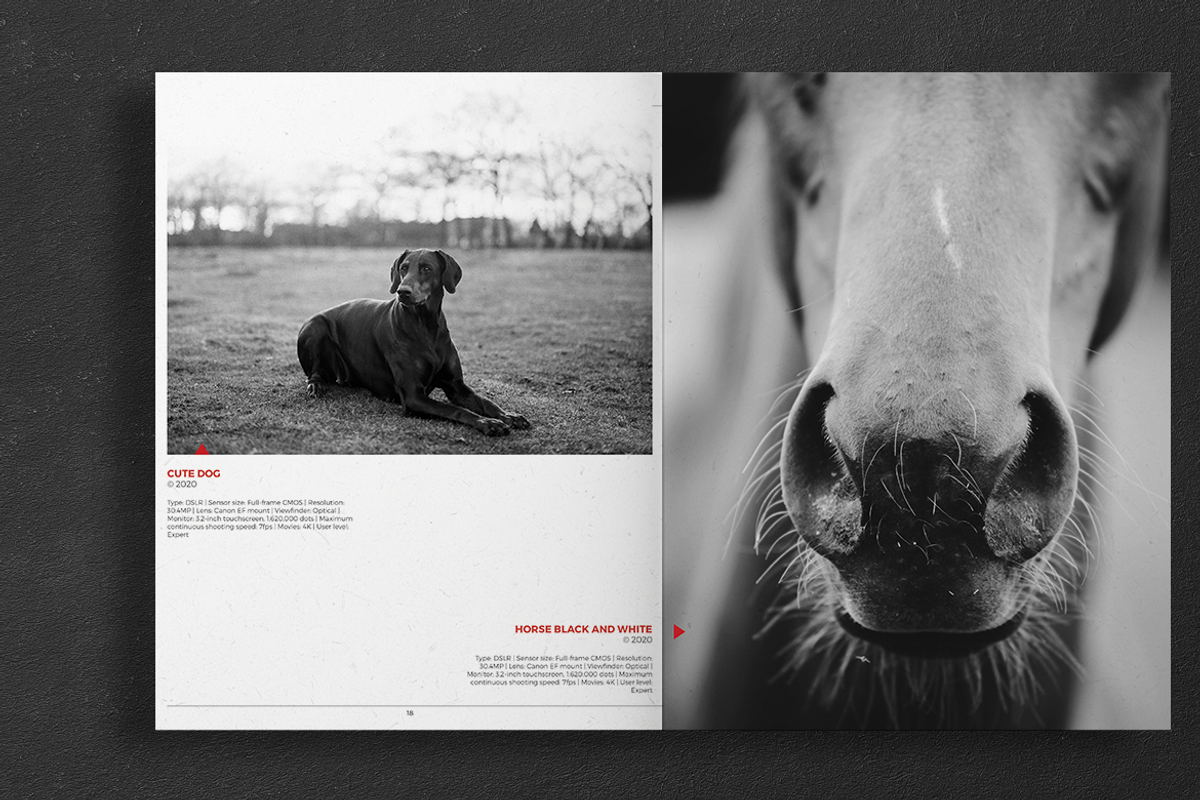 Photobook Alexandra Chapman, a Brochure Template by Boris Cupac
