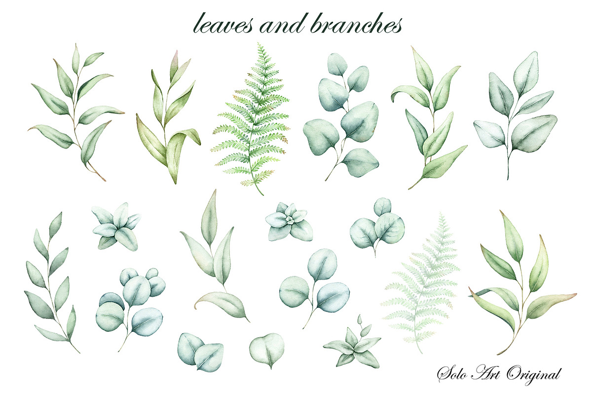 Greenery Eucalyptus,seamless patterns.