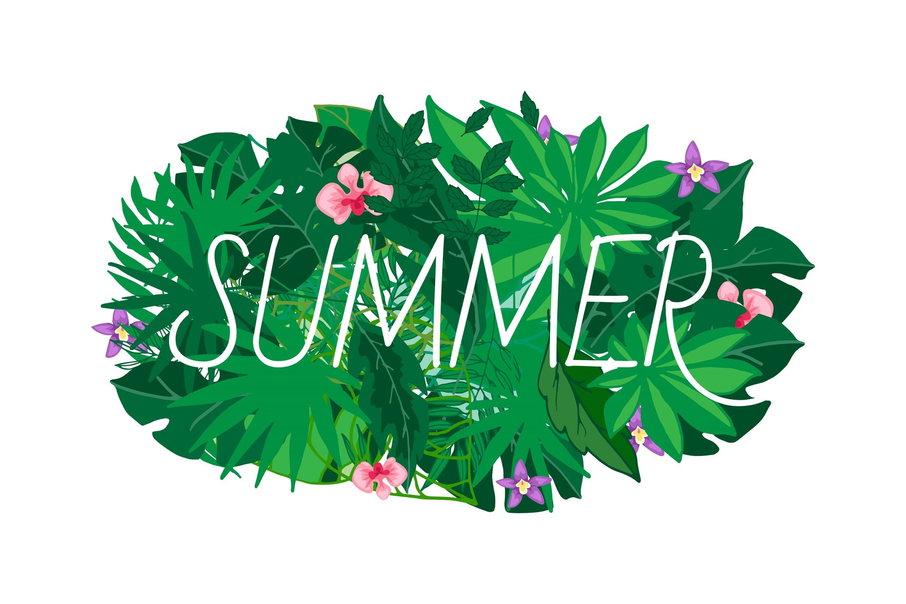 Summer leaves vector illustration | Decorative Illustrations ~ Creative ...