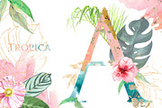 Tropical Watercolor Alphabet Letter, a Decorative Illustration by ...