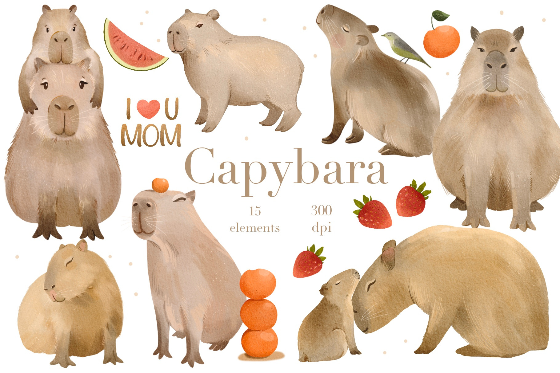 Capybara Clipart PNG, Rodent Species, an Animal Illustration by ...