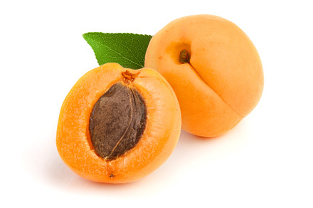 Apricot fruits with leaves isolated featuring apricot, isolated, and ...