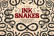 Ink Snakes Hand-drawn Set, an Animal Illustration by Ink Stories