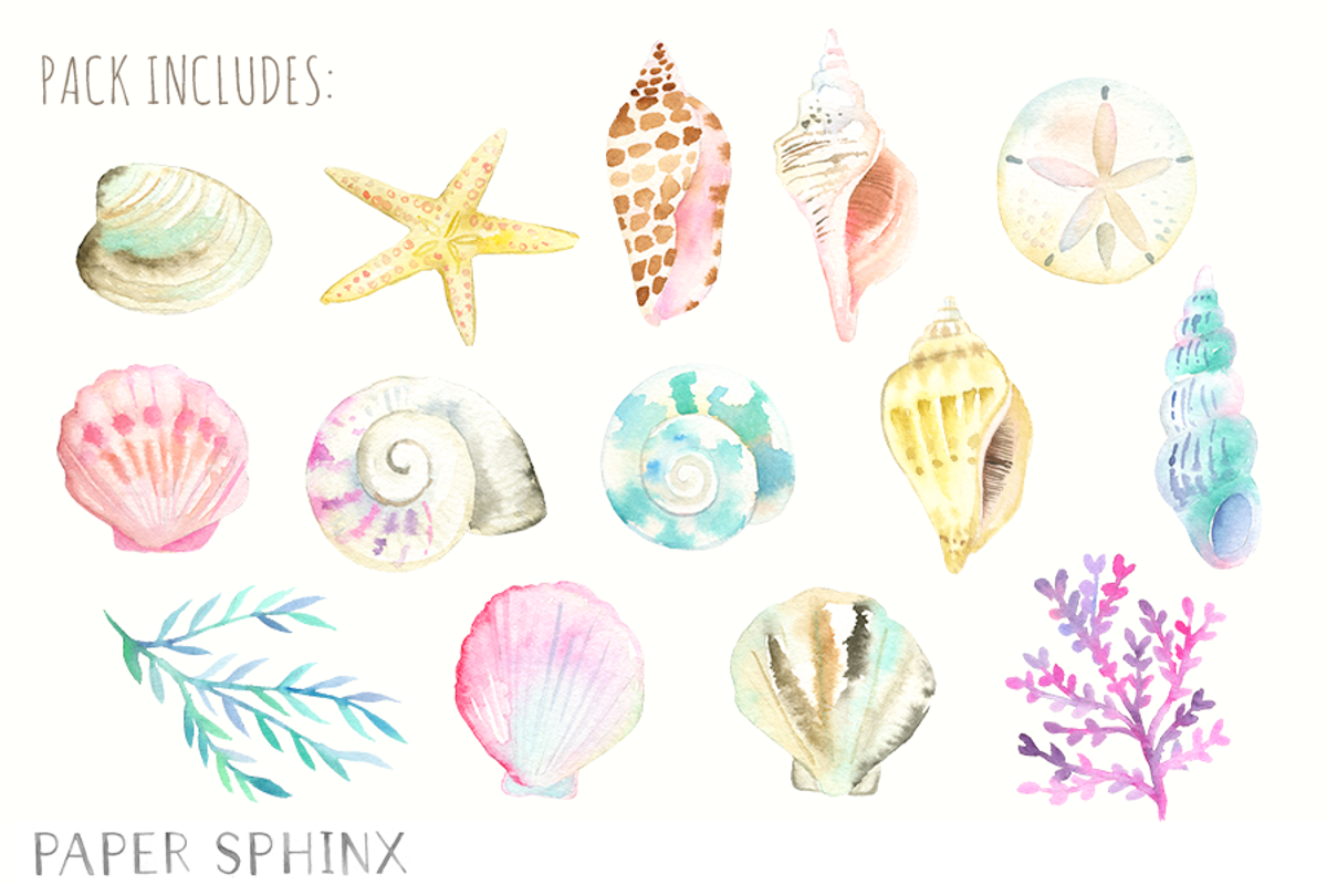 Ocean Seashells Watercolor Pack, an Illustration by PaperSphinx